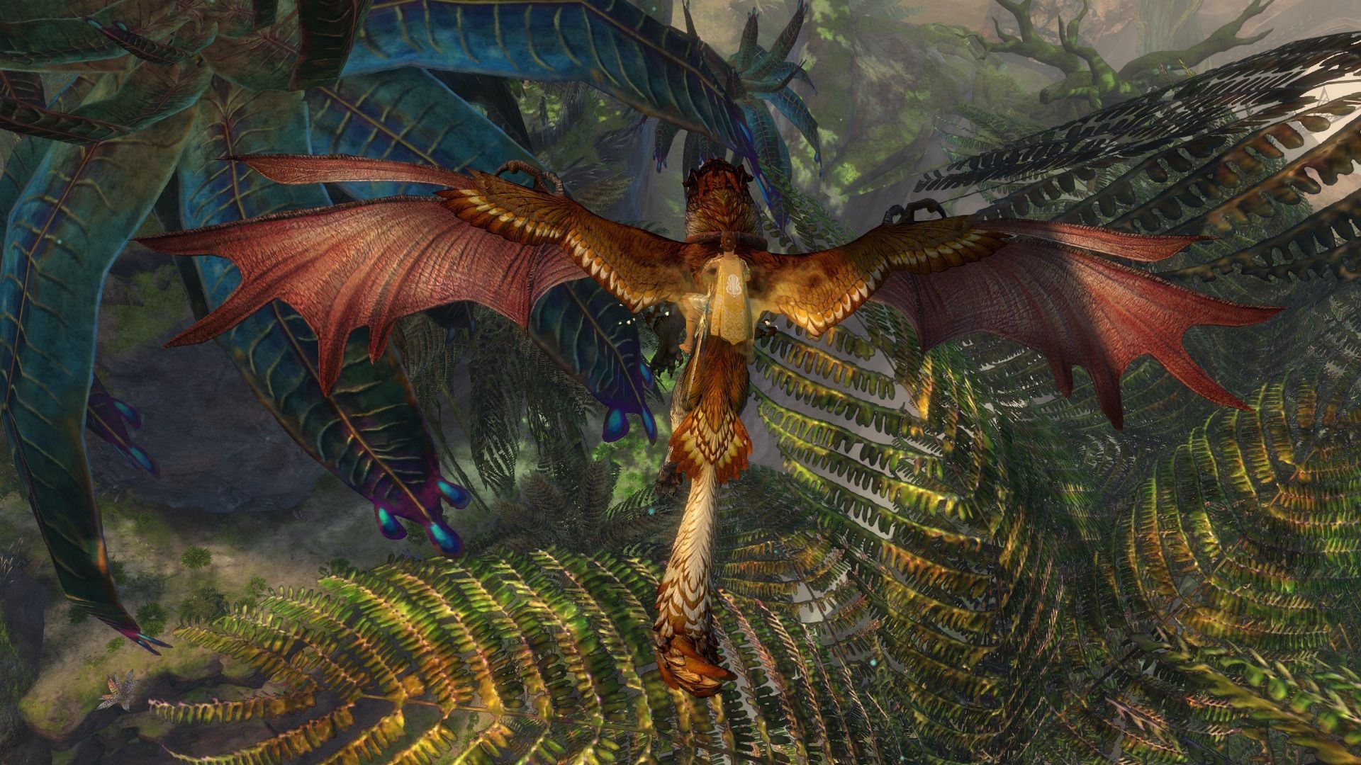 MMOGames.com | Guild Wars 2 Introduces Capes