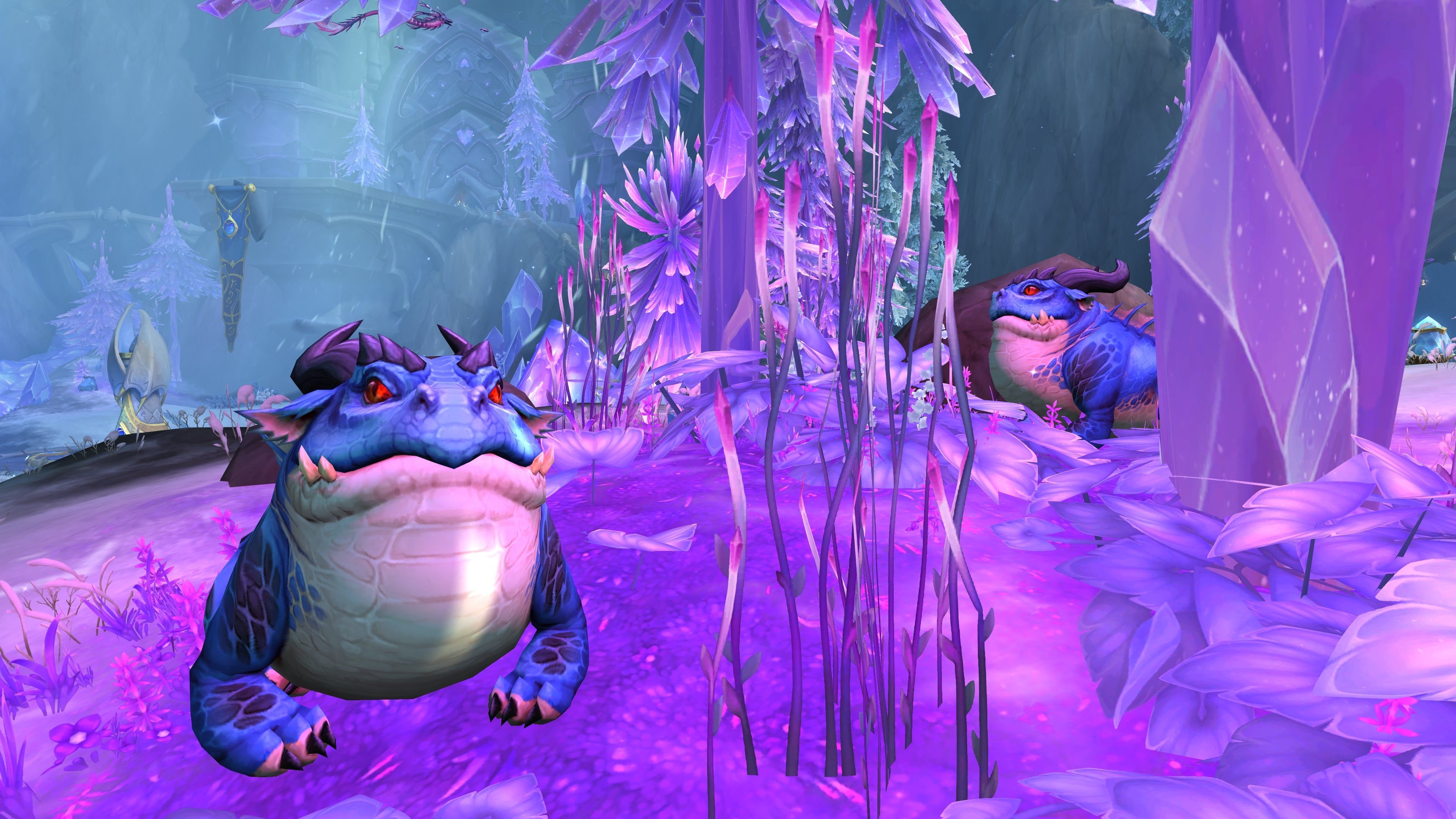 MMOGames.com | WoW Wednesday: The 5 Best Dragonflight Pets Revealed So Far