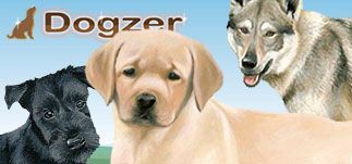 MMOGames.com | Dogzer