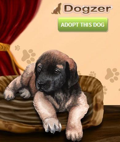 Adopt Your Own Virtual Puppy