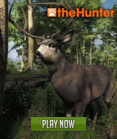 theHunter - MMOGames.com