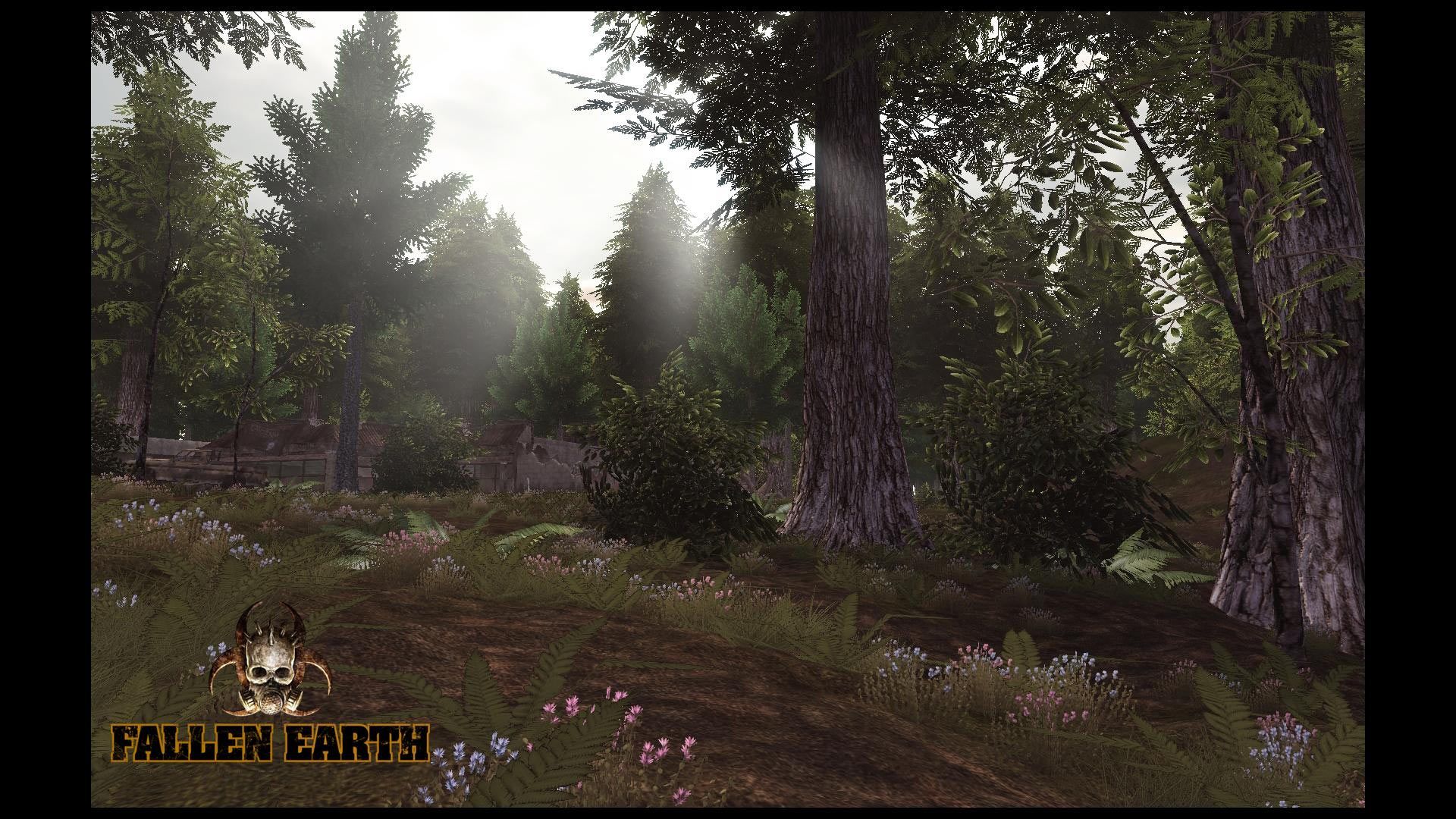 Fallen Earth Hd Desktop