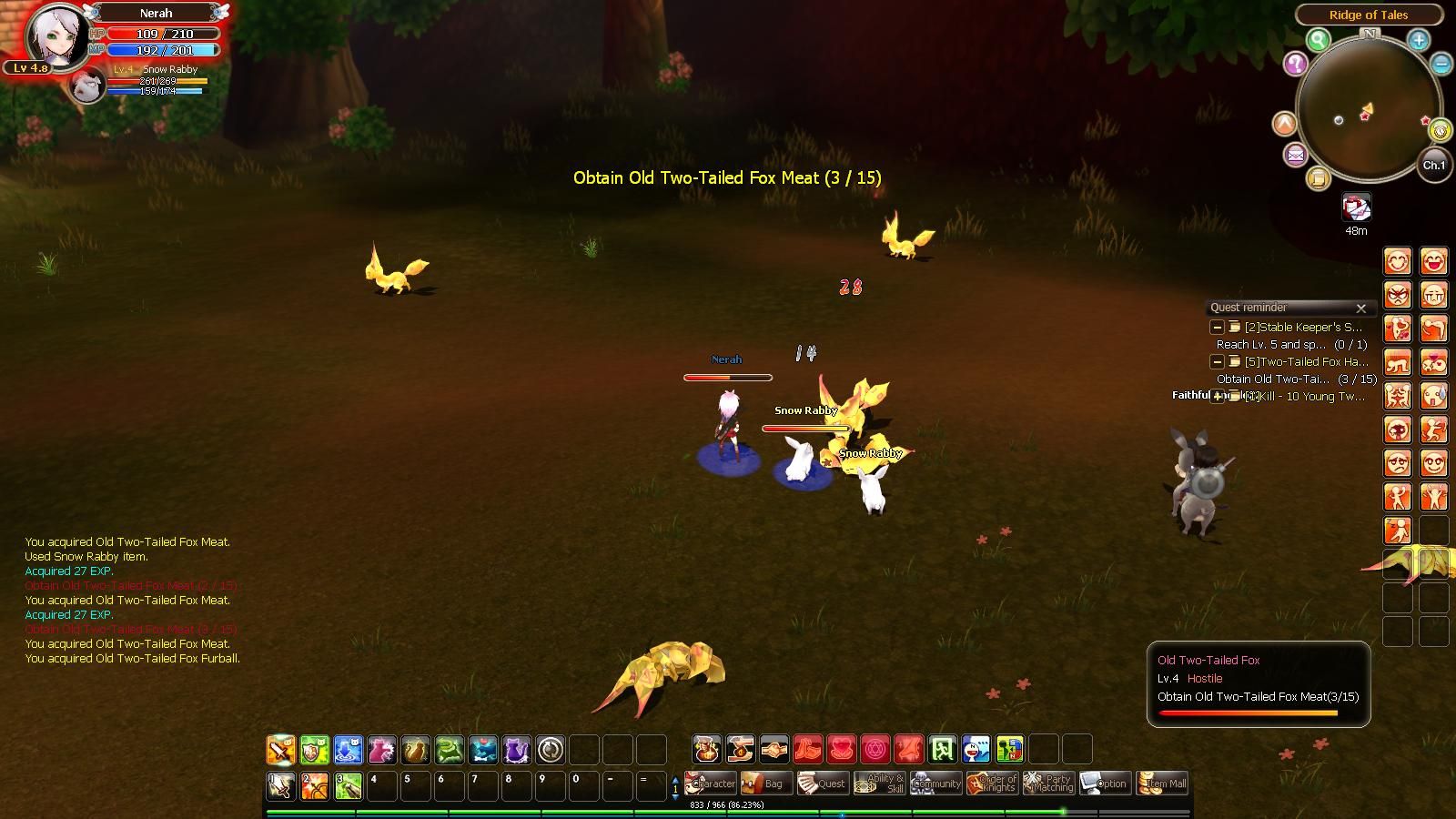 Knight Age - MMOGames.com